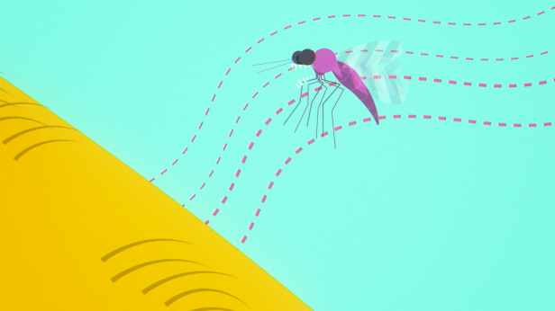 The Secret Life of Midges – TV titles & animation « ISO